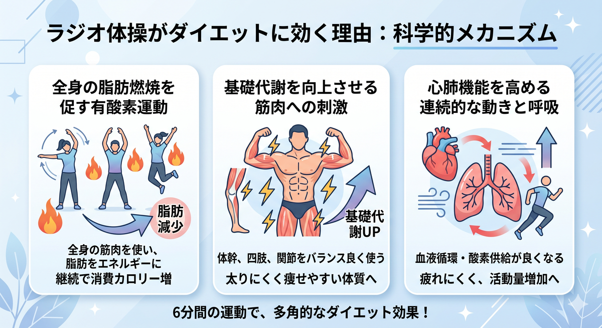 本気でラジオ体操ダイエット！大人の全身痩せを叶える正しい方法 | DietLab